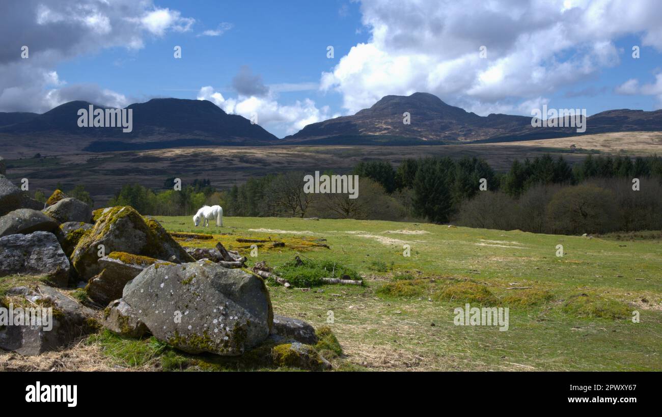 Rhinogydd rhinogs eryri national park hi-res stock photography and ...