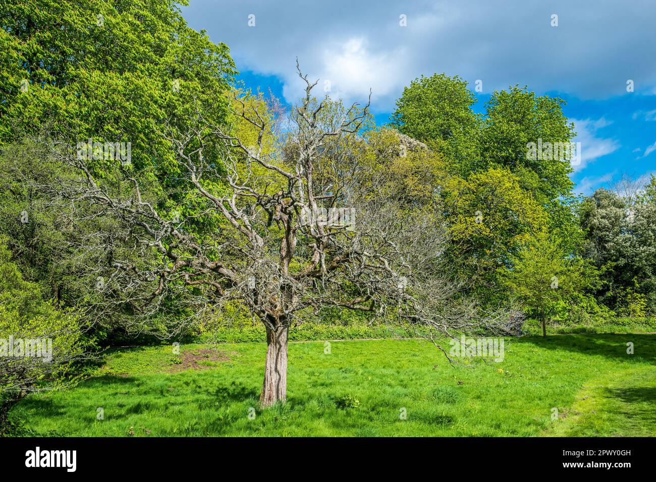 Spooky colours hi-res stock photography and images - Alamy