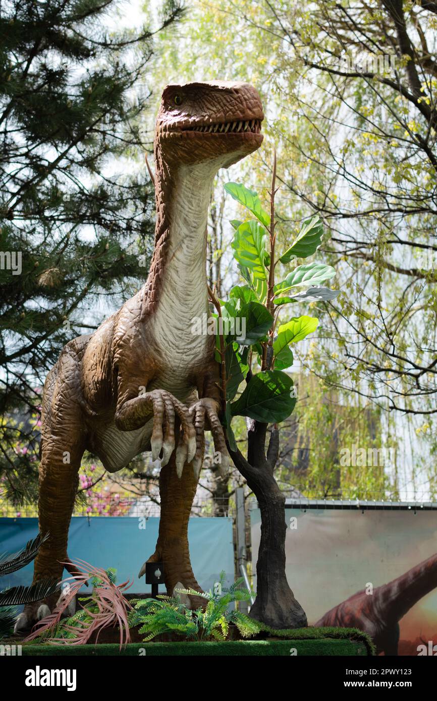 Reconstructed life-size animated models of a dinosaur. The park of ...