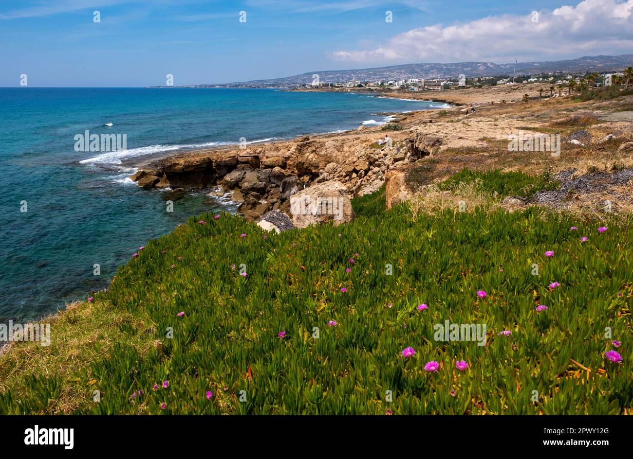 Paphos coastal path 2023 hi-res stock photography and images - Alamy