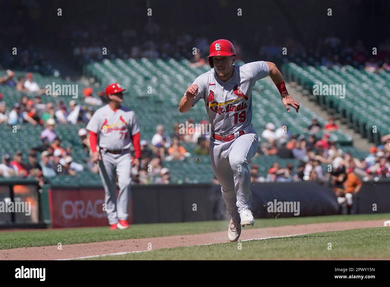 St. Louis Cardinals' Tommy Edman during a baseball game against the San ...