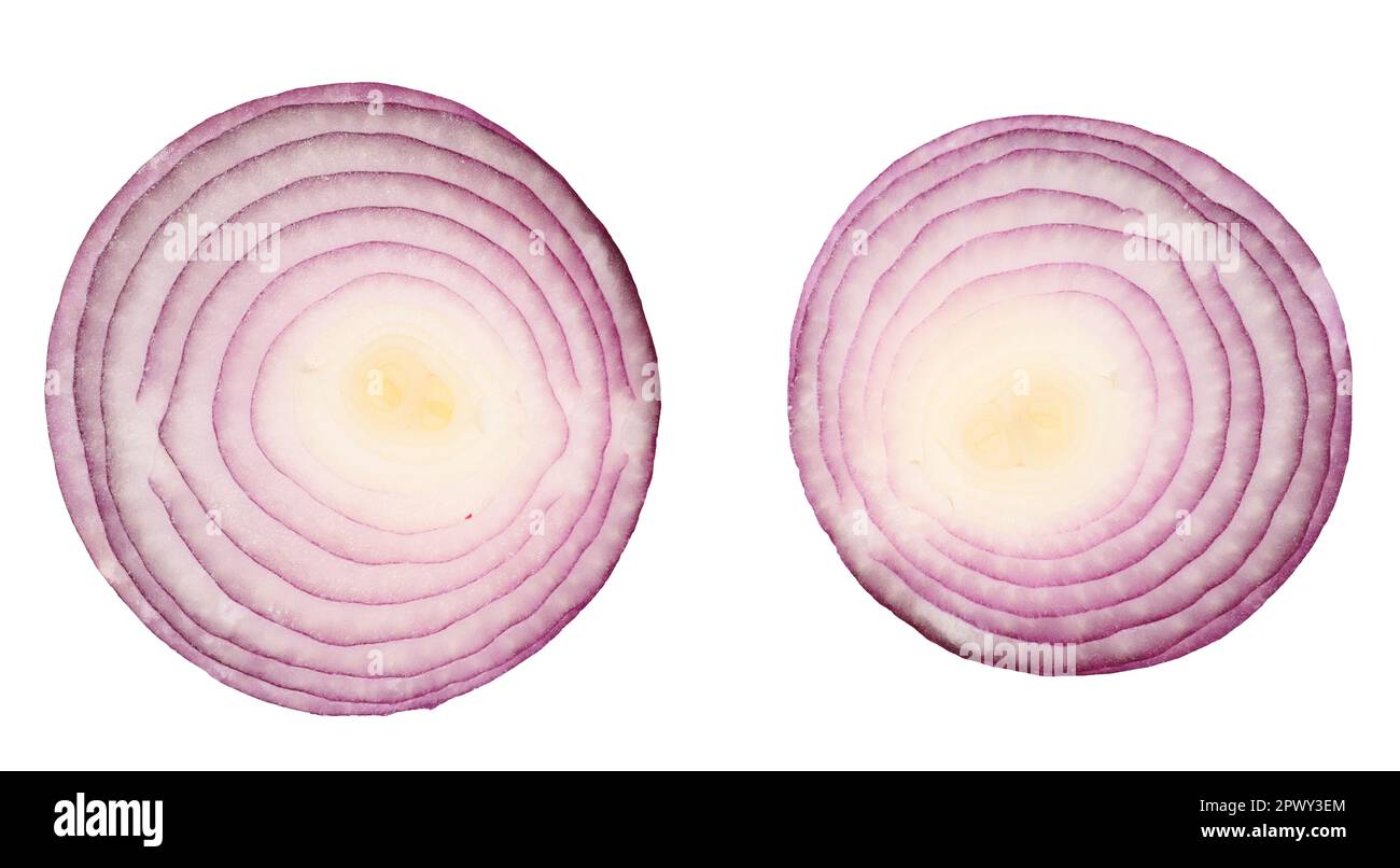 Sliced red onion rings, vegetable isolated on white background, set ...