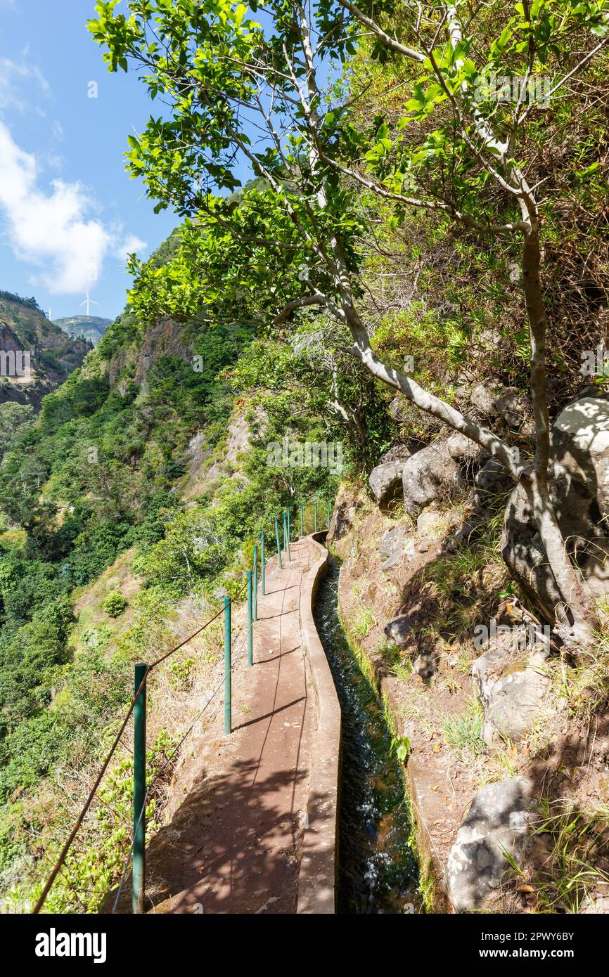Hiking trail along Levada Nova hike tour portrait format travel on ...