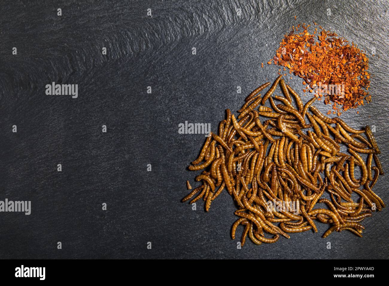 Flour worm with chili. Fried salty worms. Baked worms. Healthy diet ...