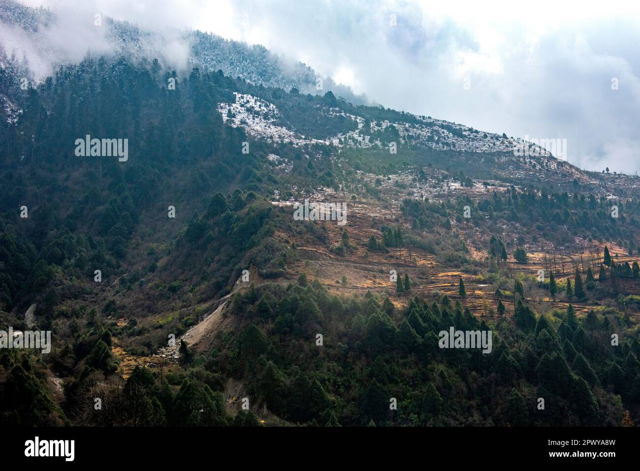 Lachung is a town and hill station in northeast Sikkim, India. It is ...