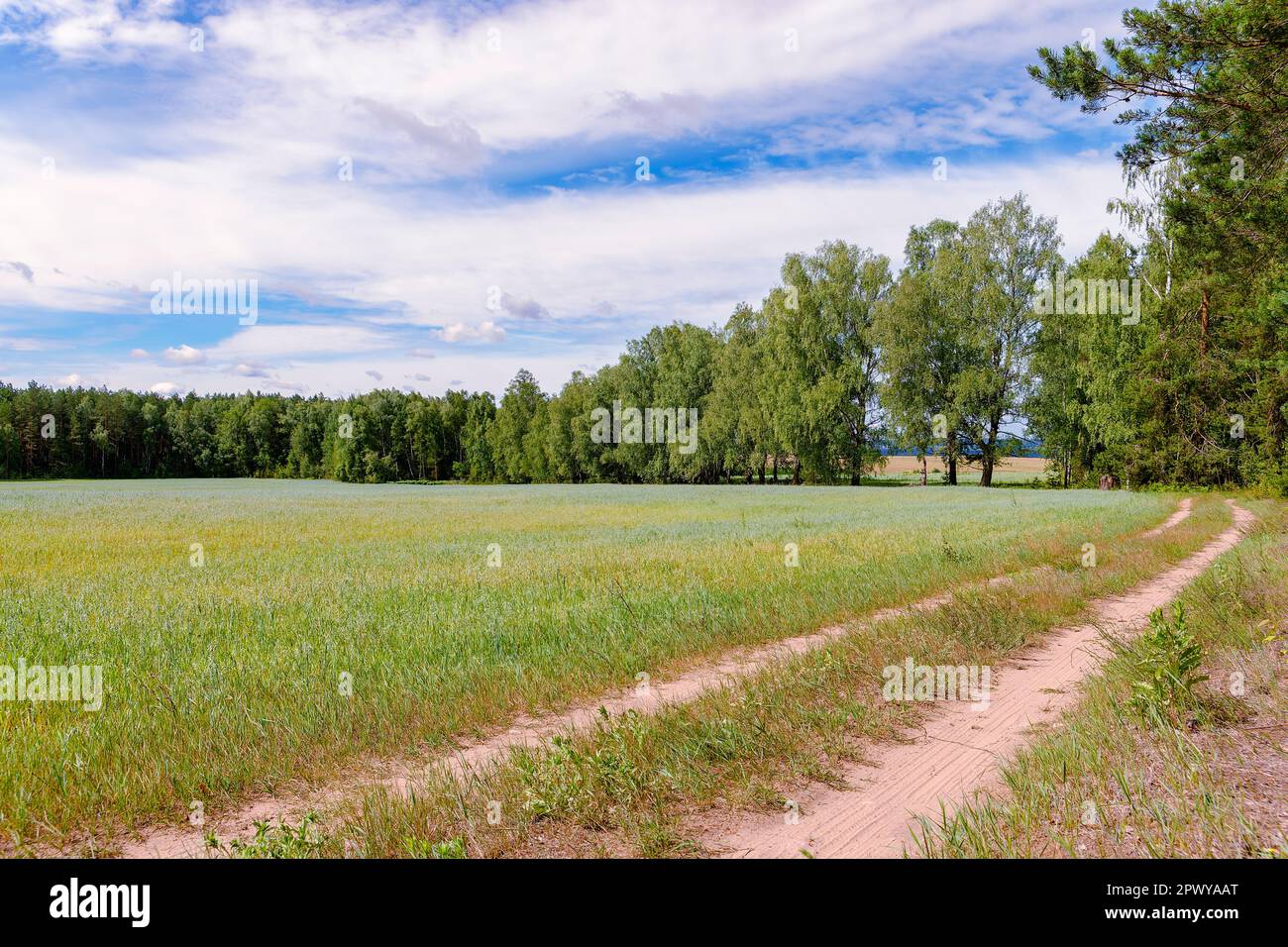 A country road along an agricultural field. Country life, bright skies ...