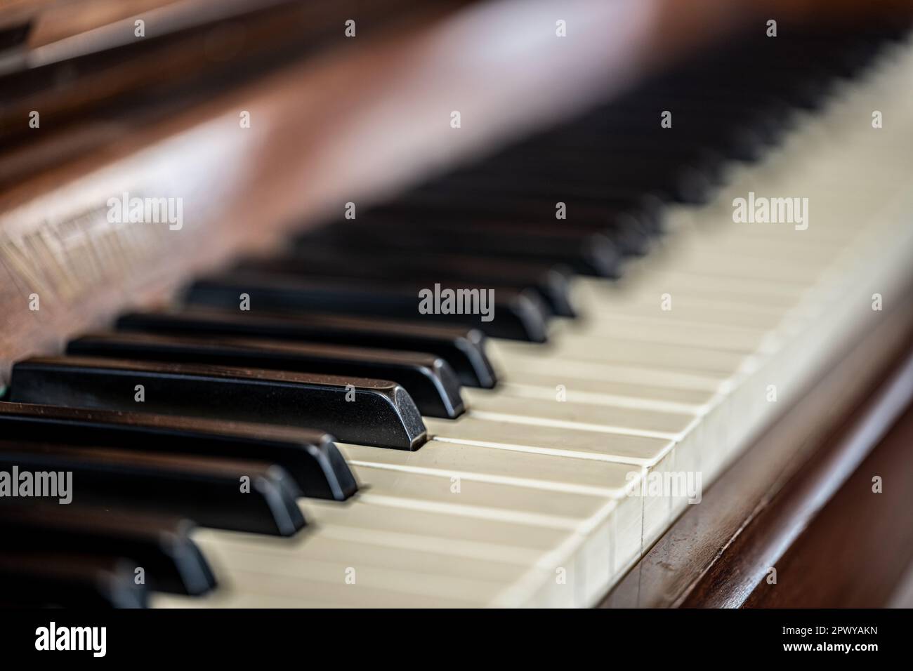 a close up macro view of a section of keys on a piano keyboard Stock ...