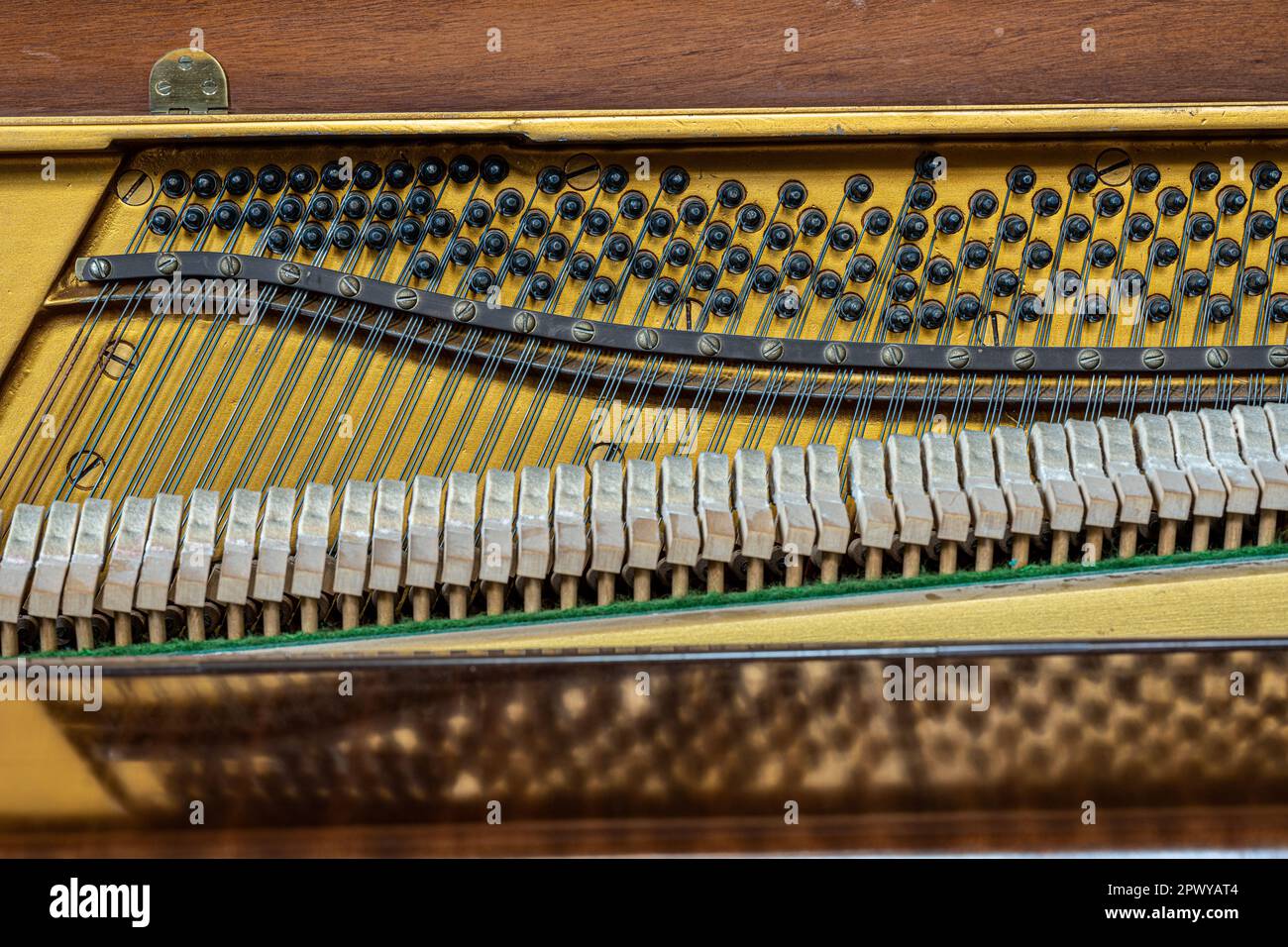 a close up macro view of a section of hammers on an upright piano Stock ...