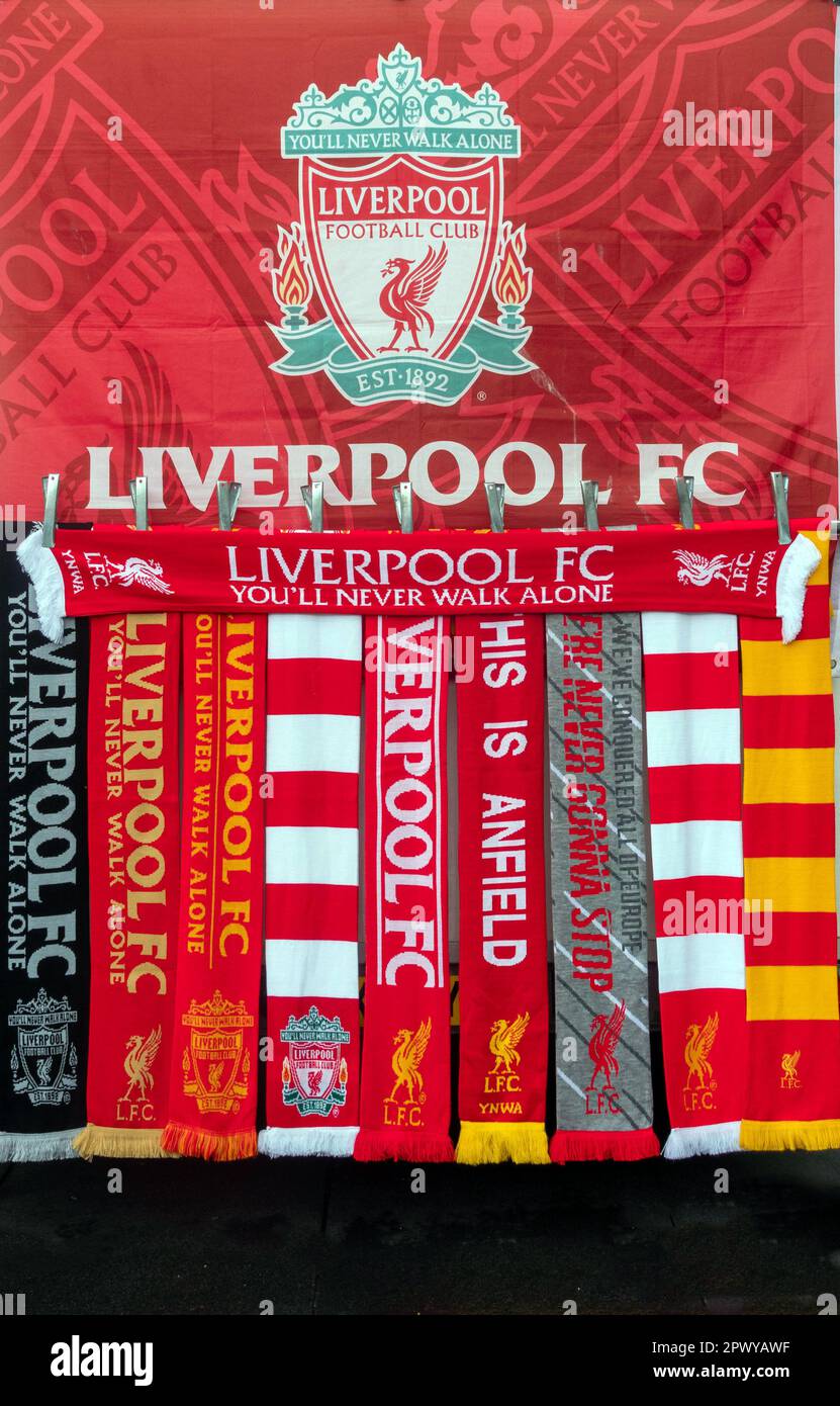 Lfc scarf hi-res stock photography and images - Alamy
