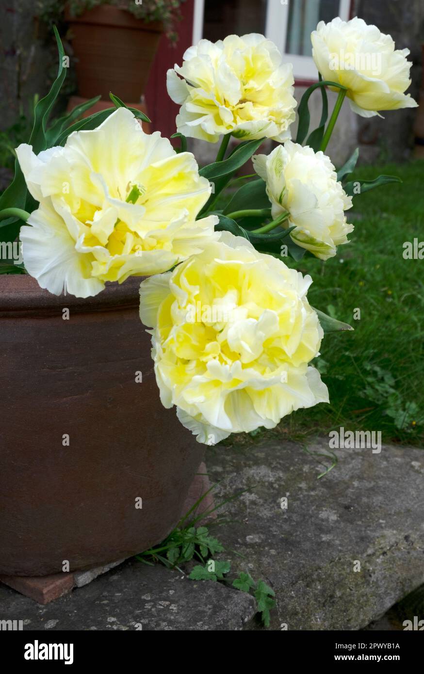 Spring of 2023 hi-res stock photography and images - Alamy