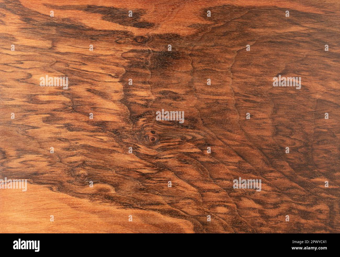 Bright contrasting natural walnut wood background with complex texture ...