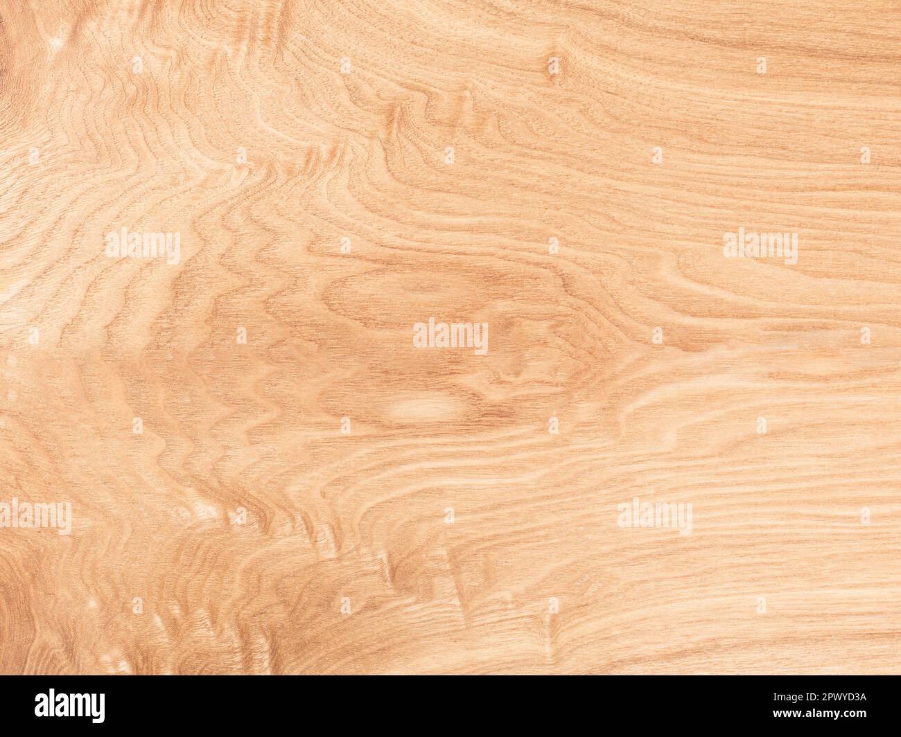 Abstract natural contrast background of oak panel in pink color with ...