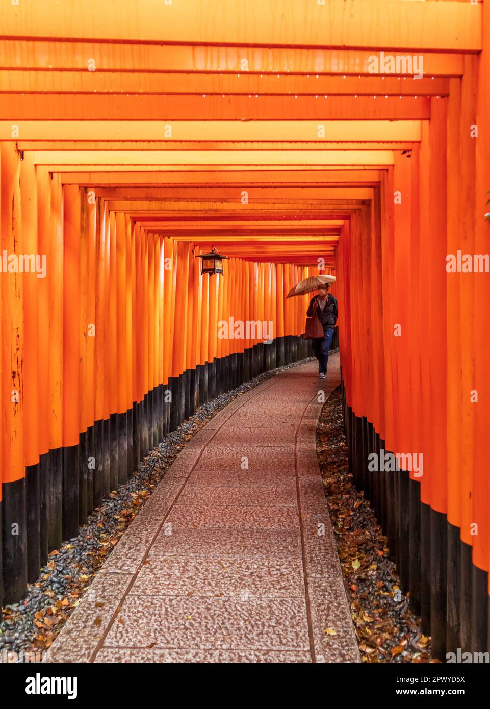 Stone torii gates hi-res stock photography and images - Alamy
