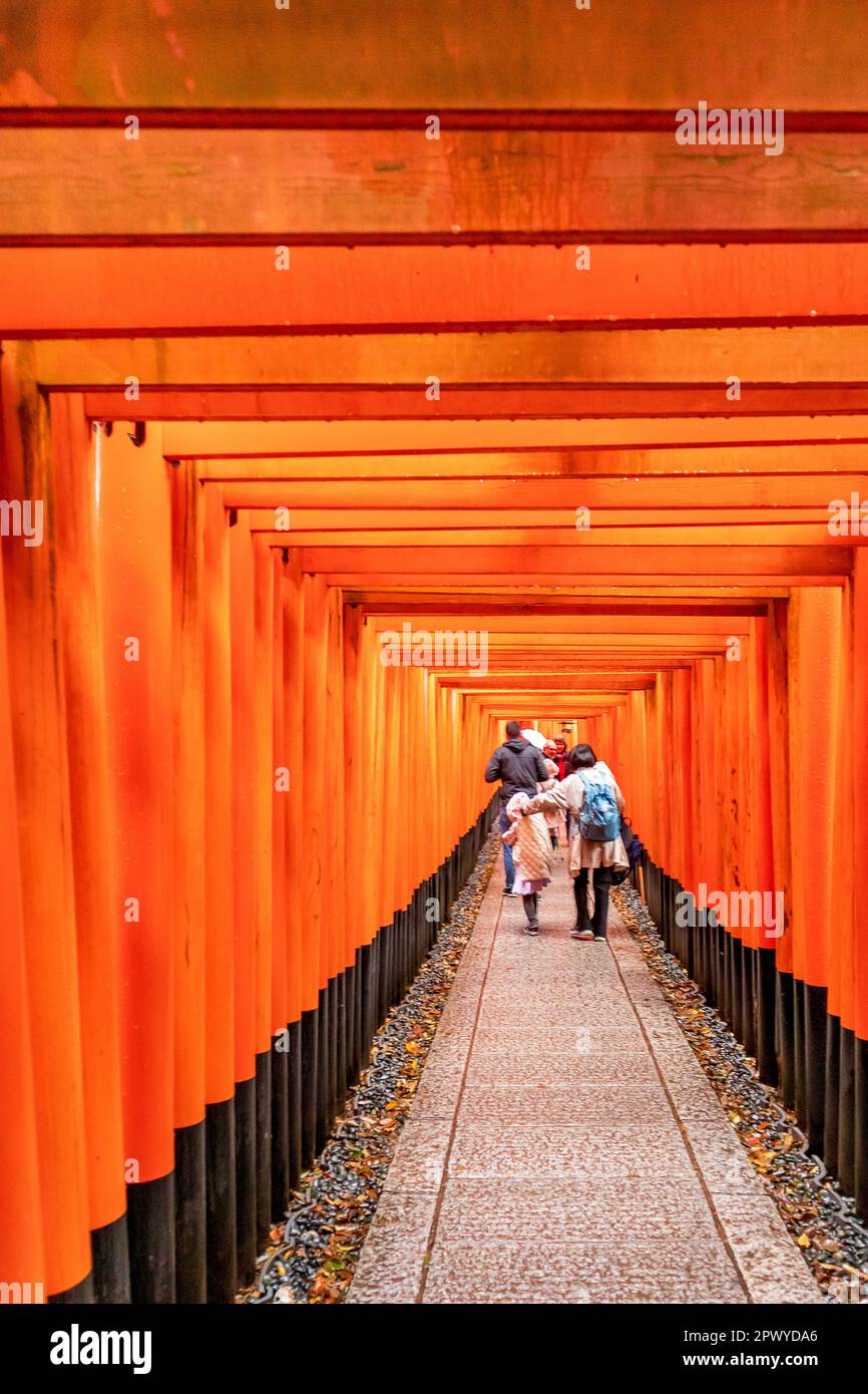 Red Torii Gates at Fushimi Inari Taisha, a Shinto Shrine in Kyoto ...