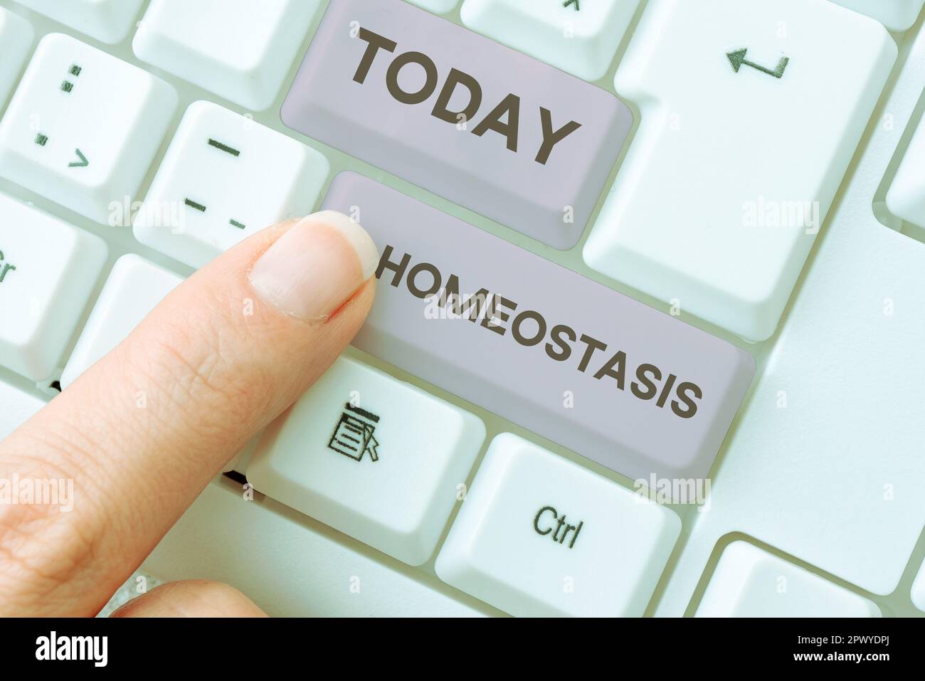 Inspiration showing sign Homeostasis, Concept meaning the tendency ...