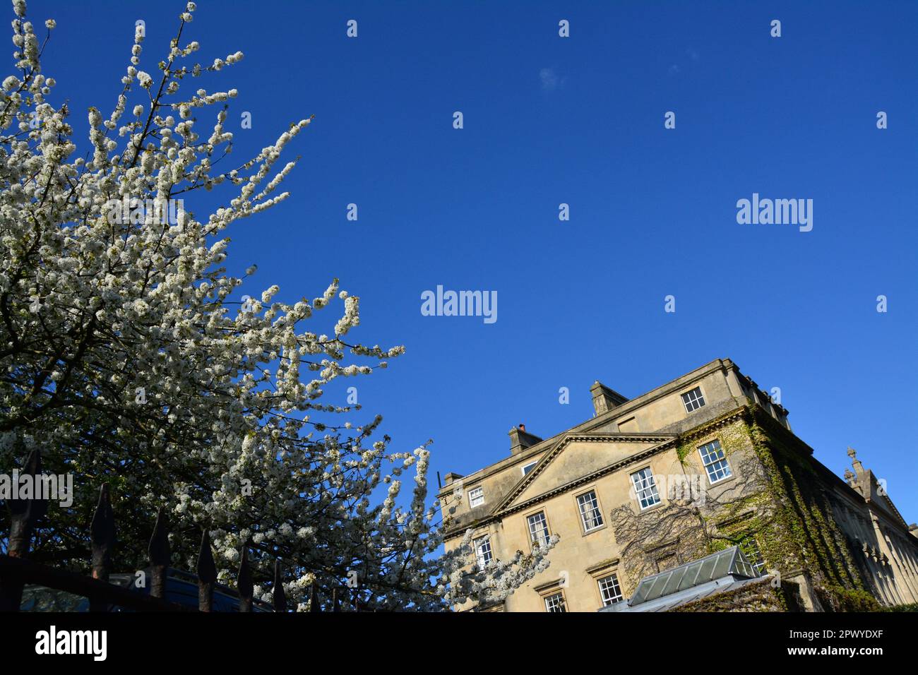 Royal italian circus hi-res stock photography and images - Alamy