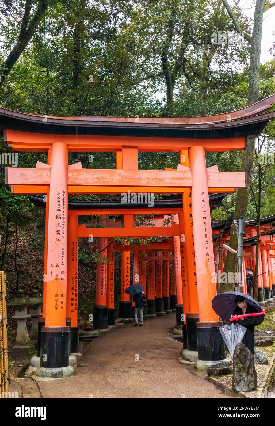 Red Torii Gates at Fushimi Inari Taisha, a Shinto Shrine in Kyoto ...