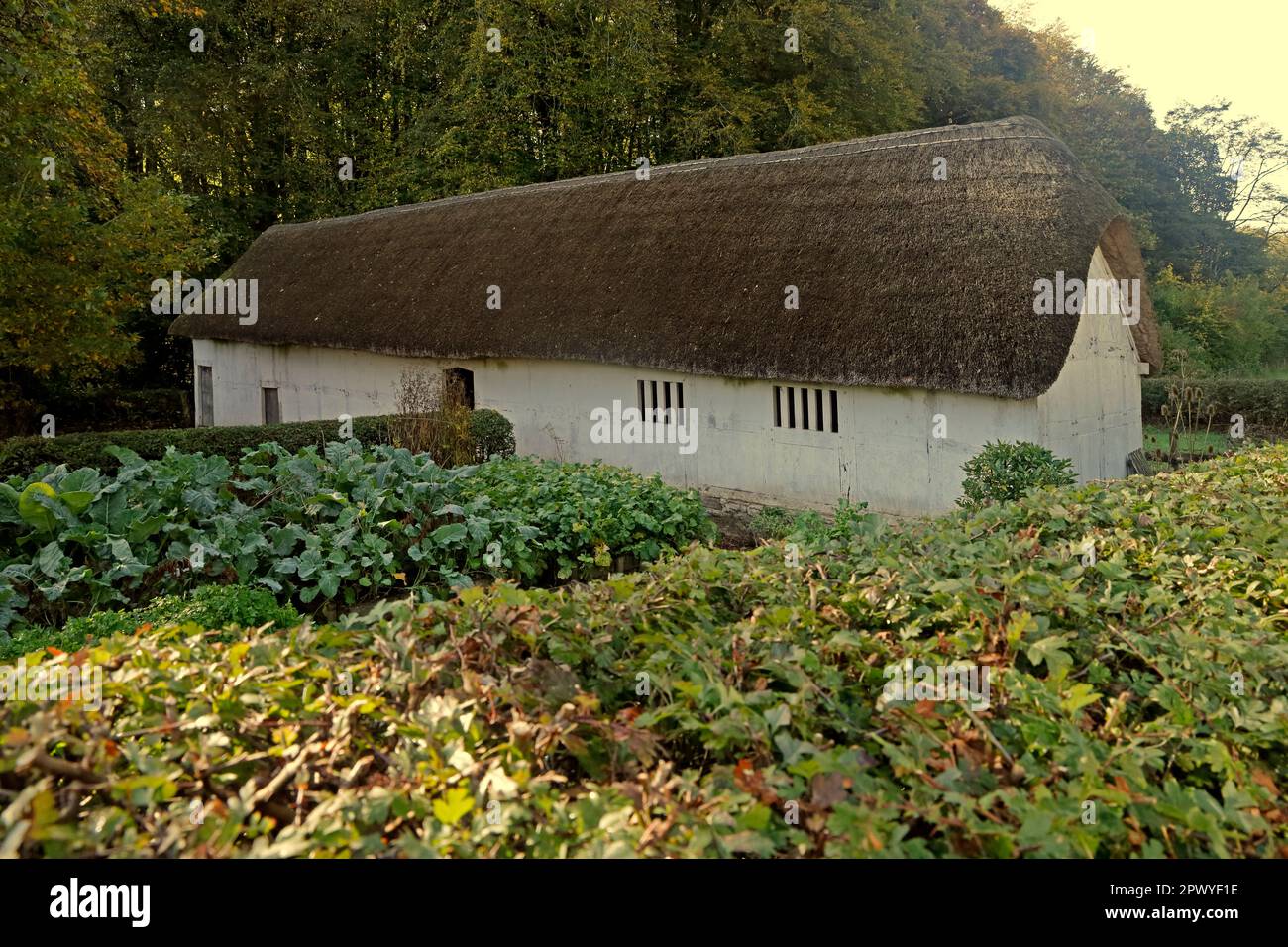 Cottage / farmhouse kitchen garden, St Fagans Museum, Cardiff. Taken ...