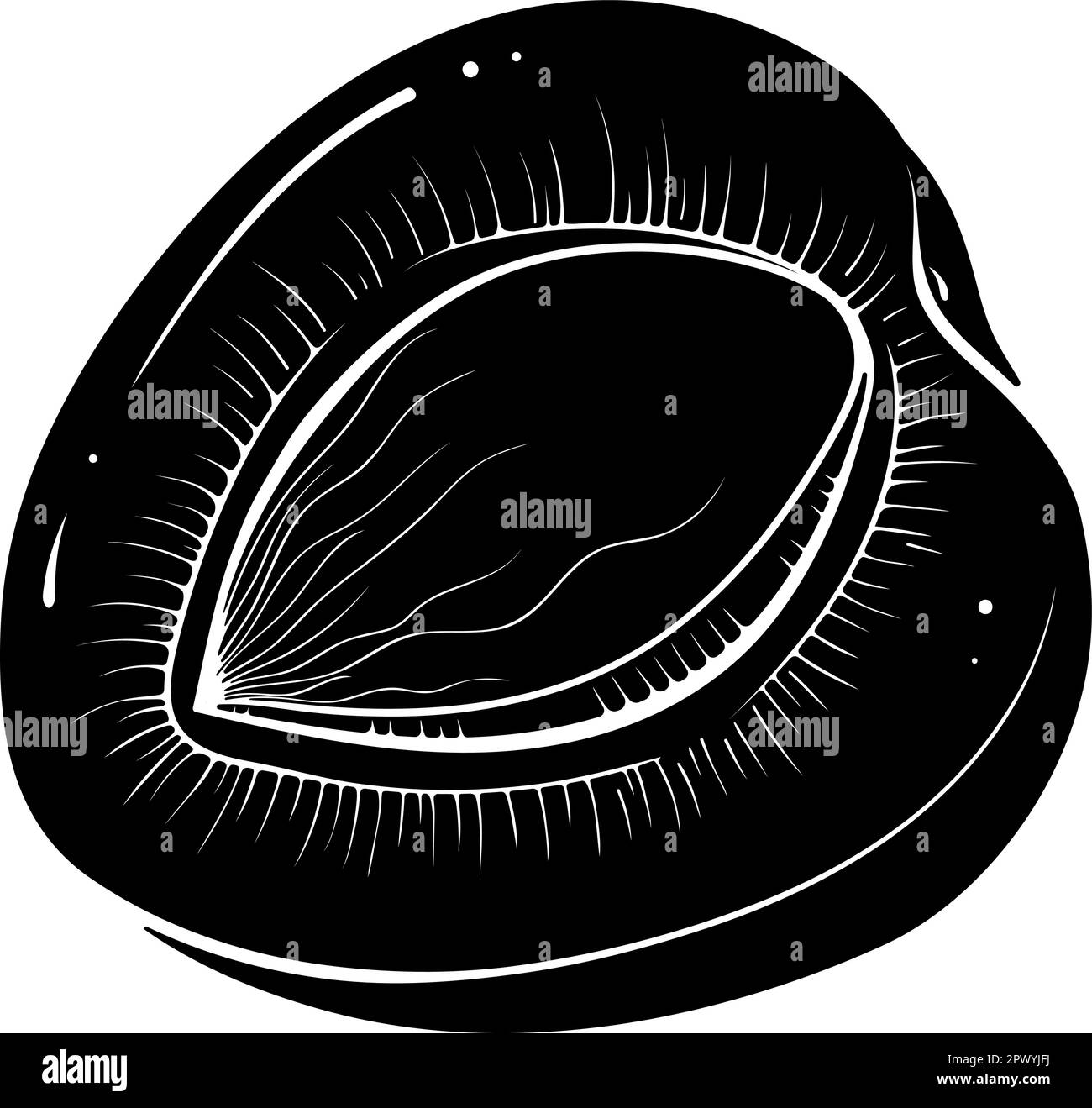 Half apricot icon cartoon Stock Vector Images - Alamy