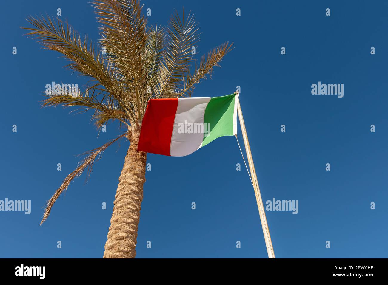 Italian flag on background of palm tree Stock Photo - Alamy