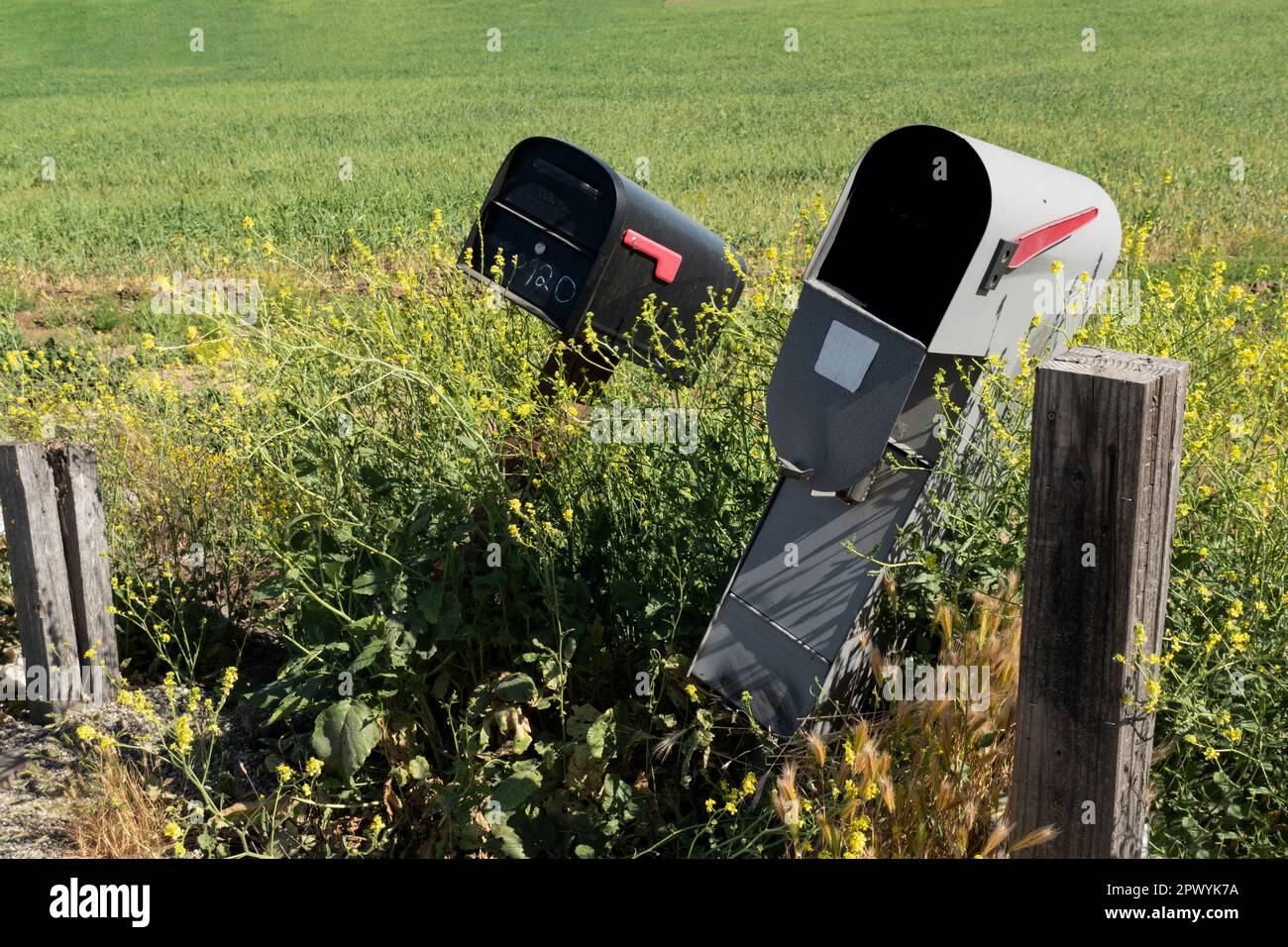 Overgrown rural mailboxes in hi-res stock photography and images - Alamy