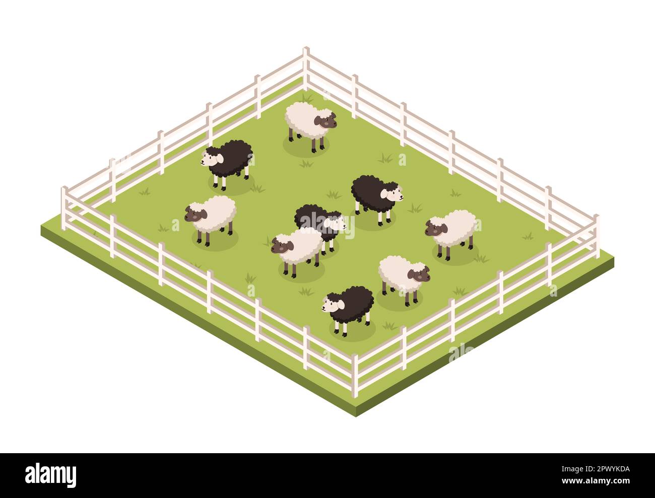Paddock with sheeps Stock Vector Image & Art - Alamy