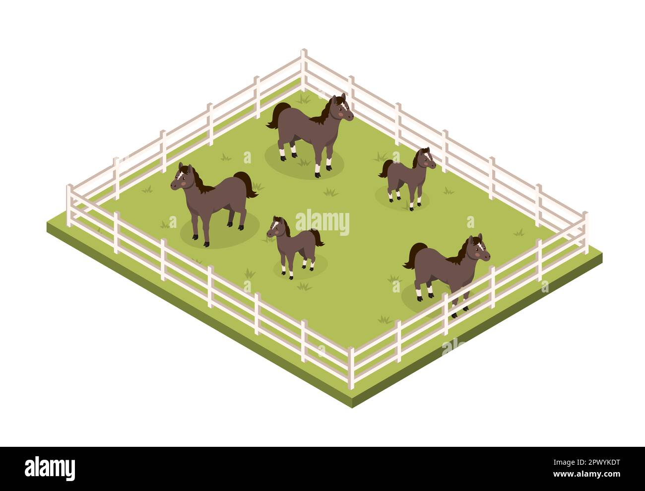 Paddock with horses Stock Vector Image & Art - Alamy