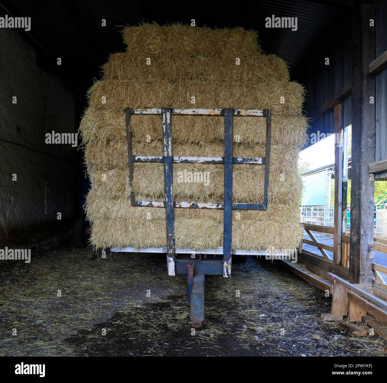 Straw bales on a cart in a barn at Llwyn yr Eos farm yard, St Fagans ...
