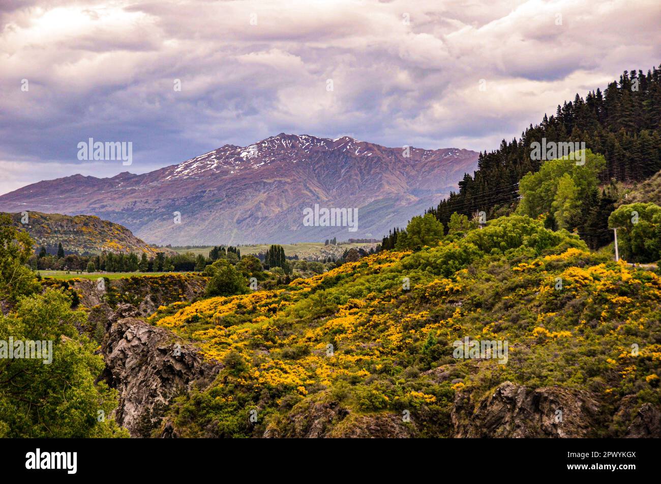 North island mountains hi-res stock photography and images - Alamy