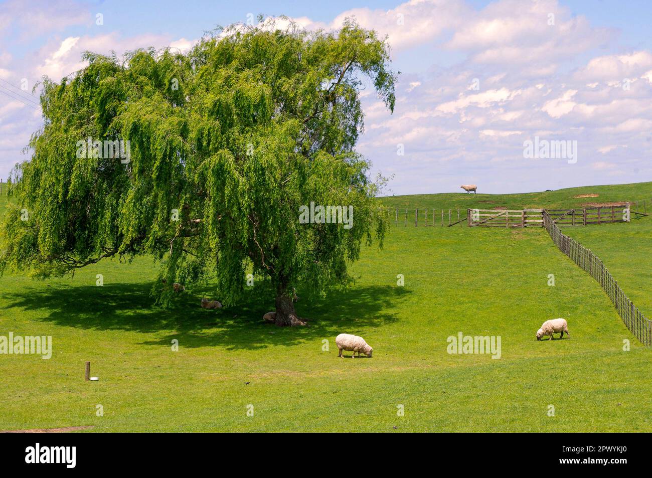 Hobbit village new zealand hi-res stock photography and images - Alamy