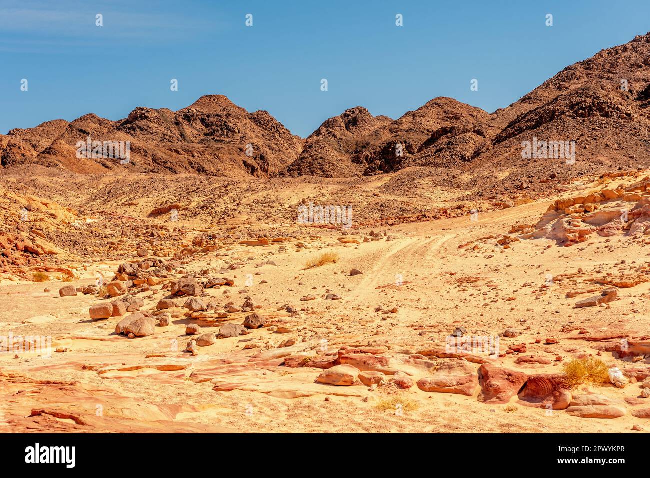 Desert with mountains. Sinai, Egypt Stock Photo - Alamy