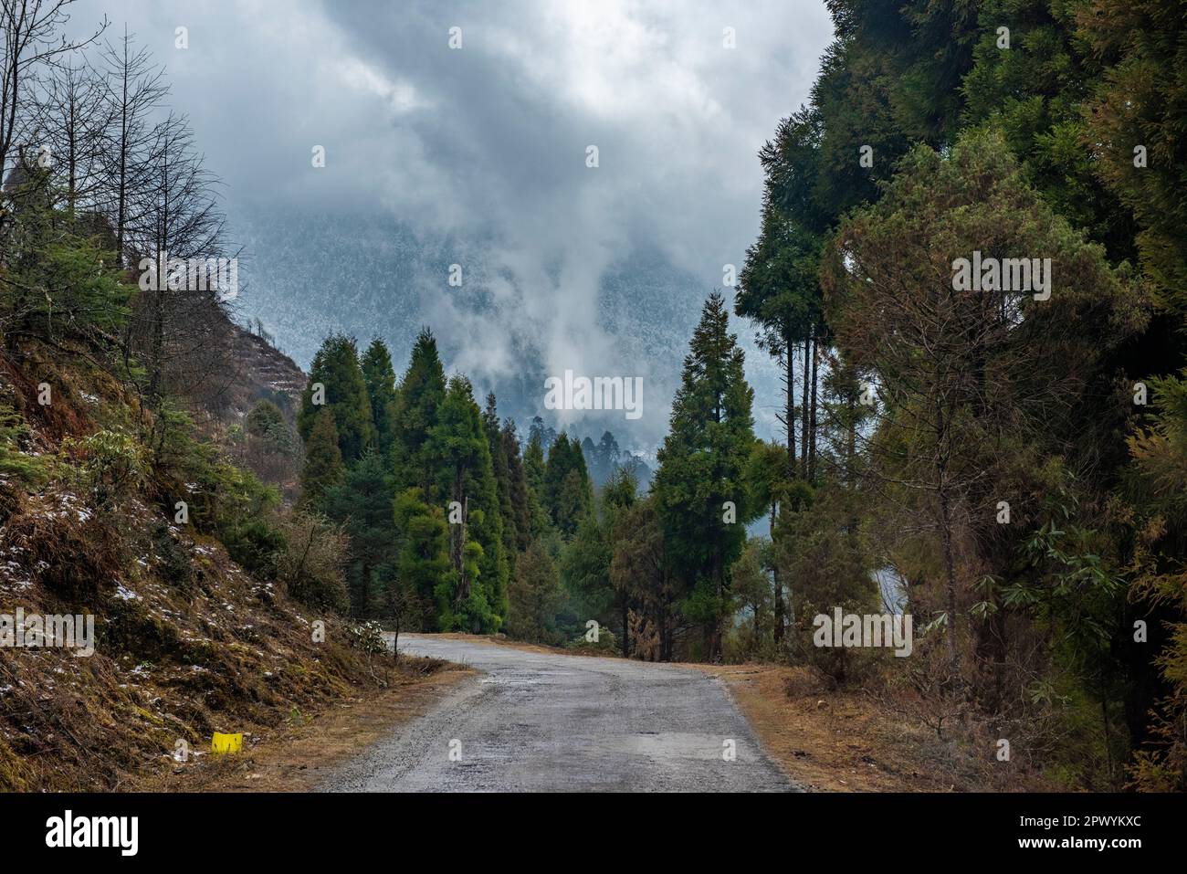 Lachung is a town and hill station in northeast Sikkim, India. It is ...