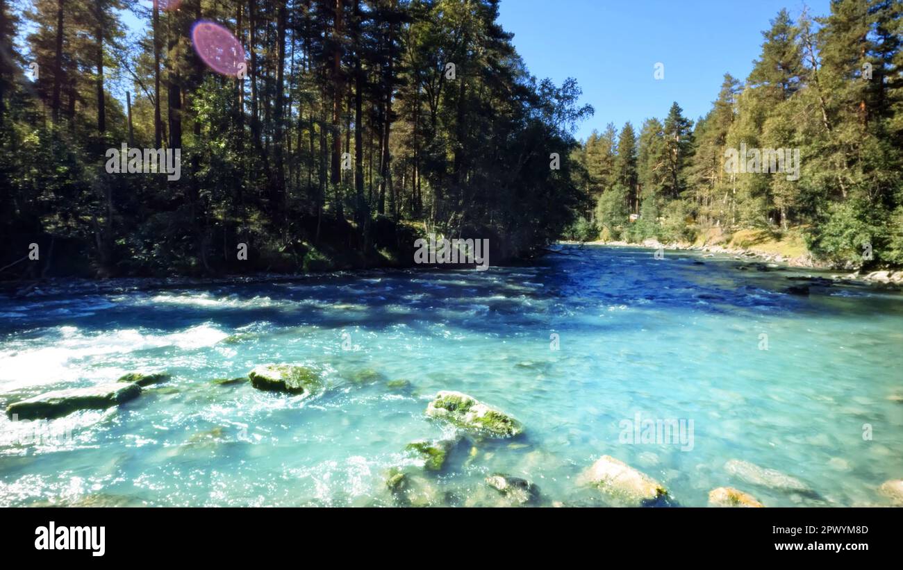 beautiful fast mountain ridge stream with clear water at summertime day ...