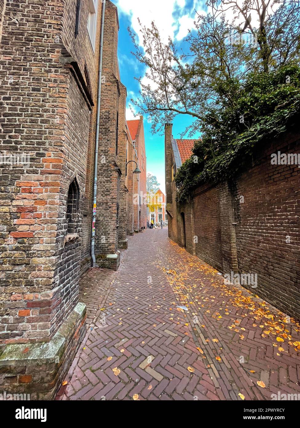 Delft, The Netherlands - October 15, 2021: Street view and city scenes ...