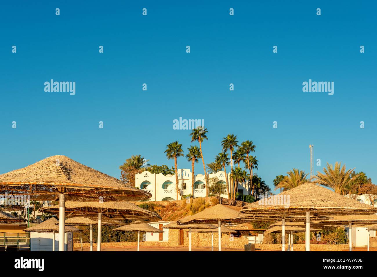 Relax under parasol on the beach of Red Sea, Egypt Stock Photo - Alamy