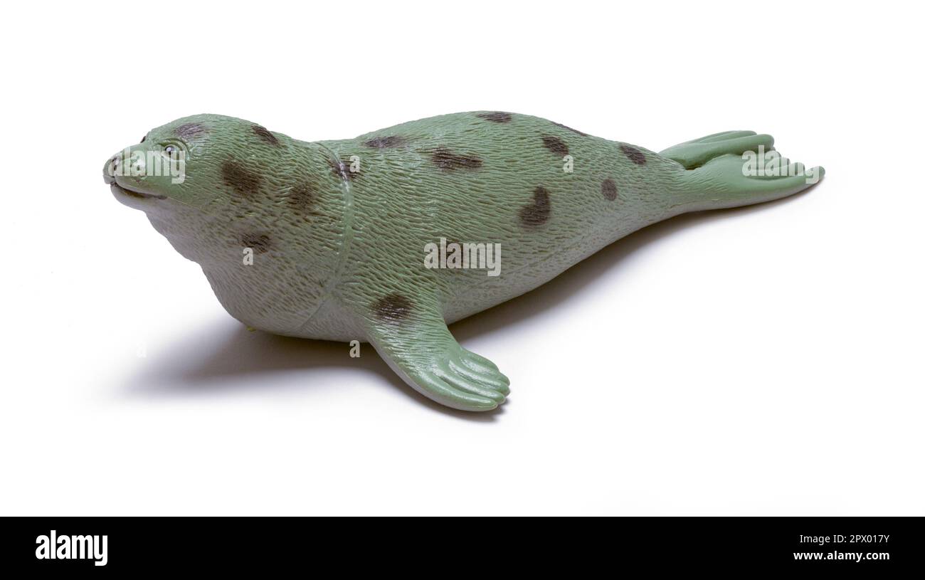 Plastic Toy Seal Cut Out on White Stock Photo - Alamy