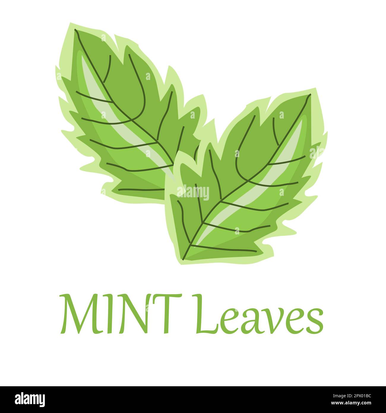 fresh mint leaves in cartoon style isolated Stock Vector Image & Art ...