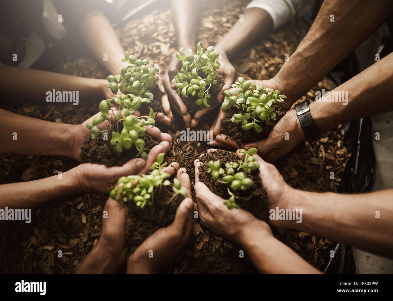 Together we can make the planet a greater place. a group of people ...