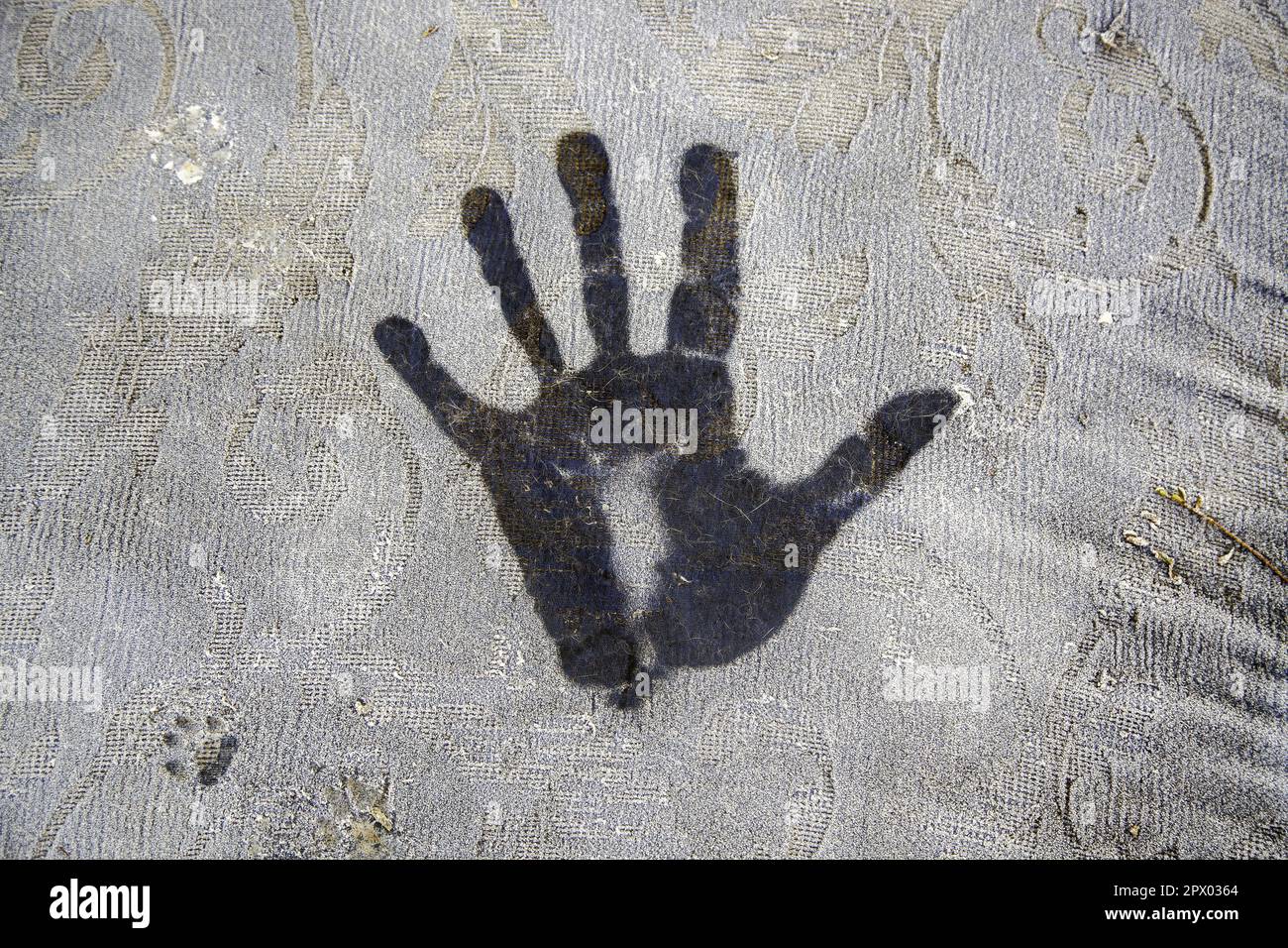 Detail of hand signal on a winter day, ice and cold Stock Photo - Alamy