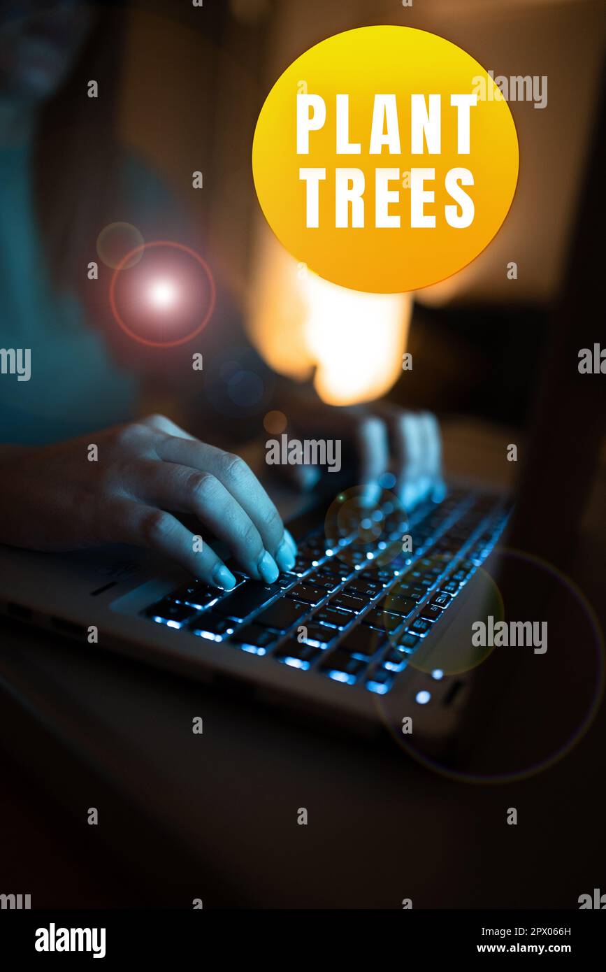 Handwriting text Plant Trees, Business concept process of planting a ...