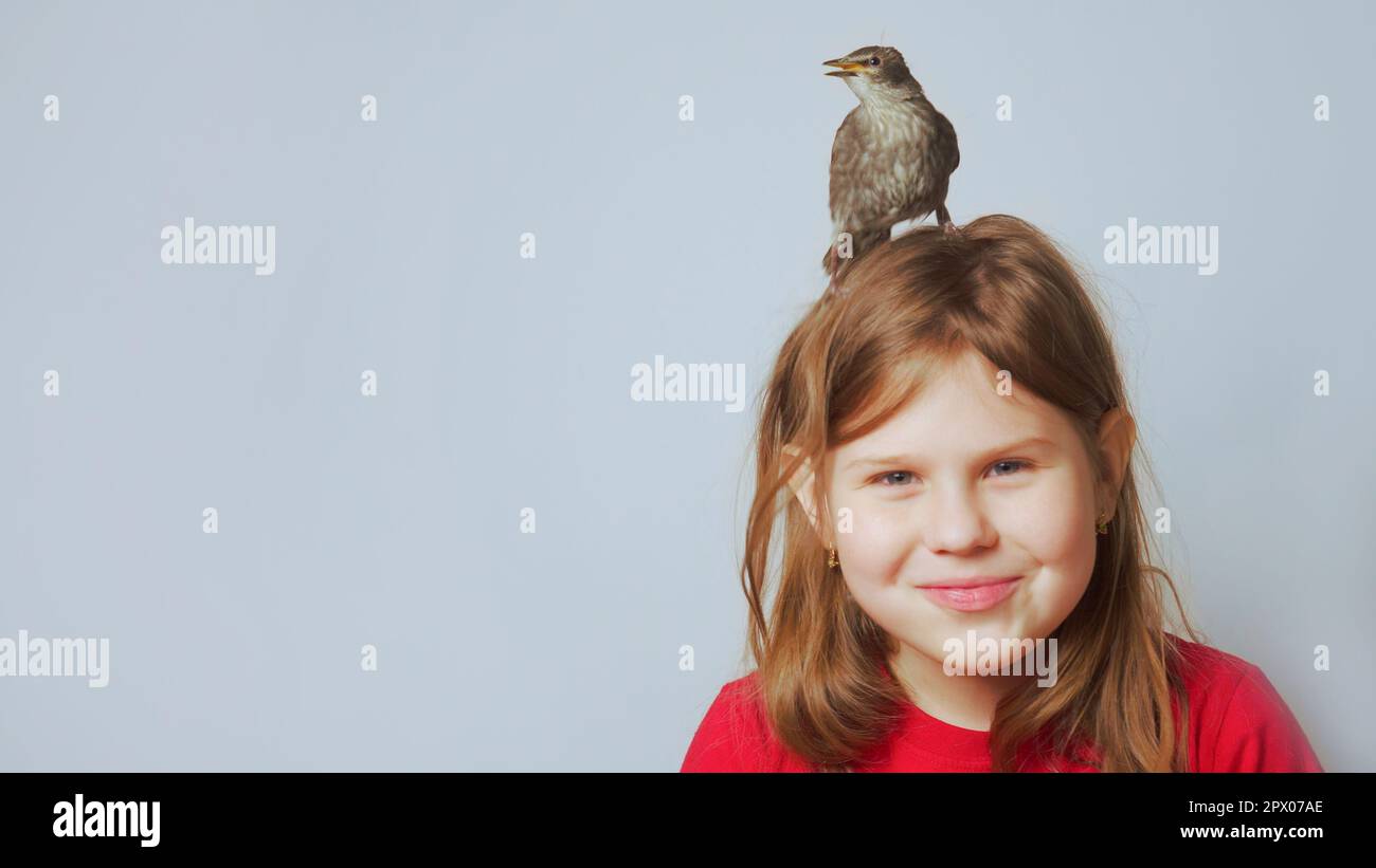 Grown up starling nestling sitting on head of glad little girl ...