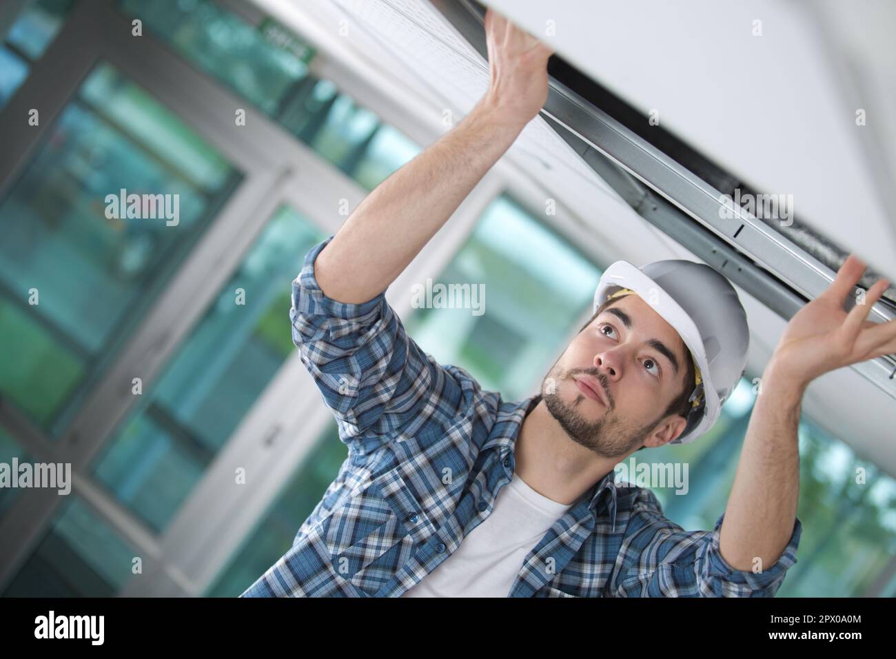 man install suspended ceiling in house Stock Photo - Alamy