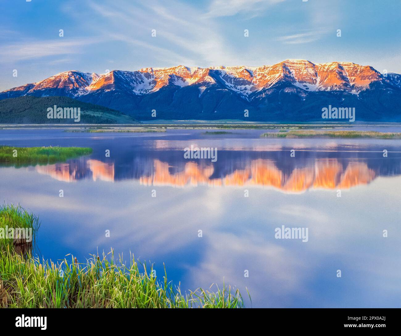 early morning at widgeon pond in red rock lakes national wildlife ...