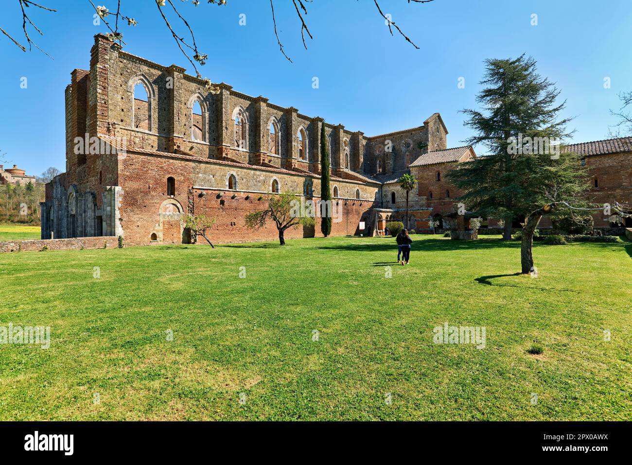 The roofless abbey of Saint Galgano. Siena Tuscany Italy Stock Photo ...