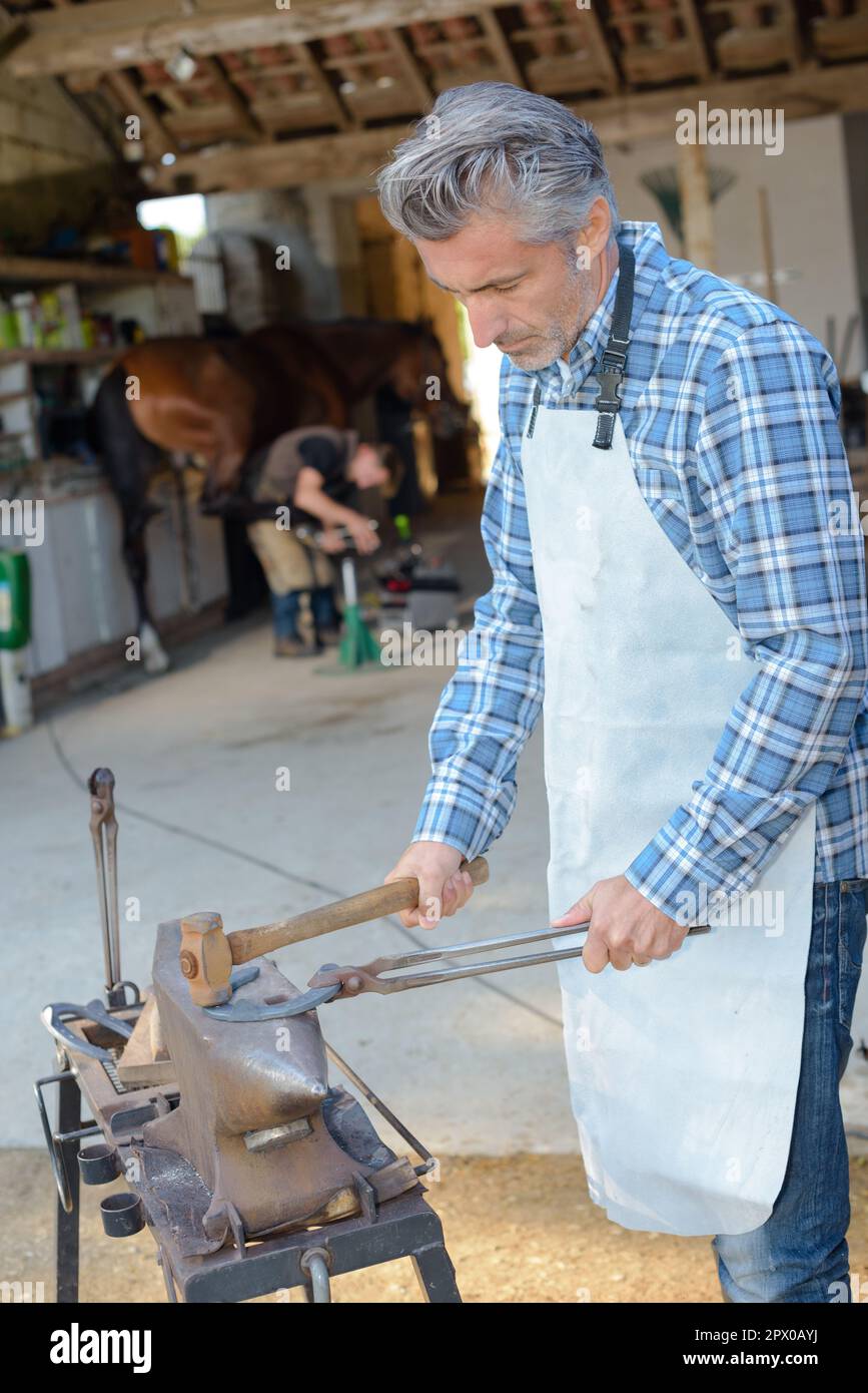 horse farrier working in the early morning Stock Photo - Alamy