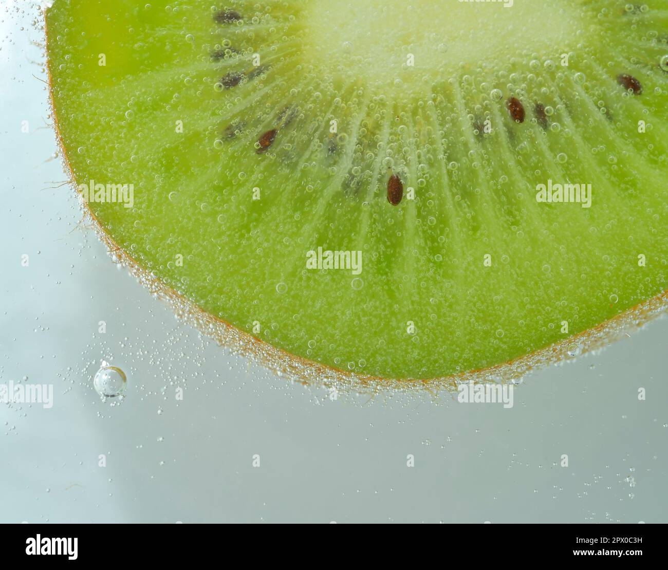 Fresh kiwi fruit slice in liquid with bubbles. Close-up of a kiwi fruit ...