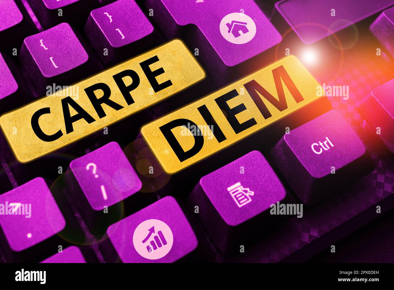 Conceptual caption Carpe Diem, Word Written on public festival which ...