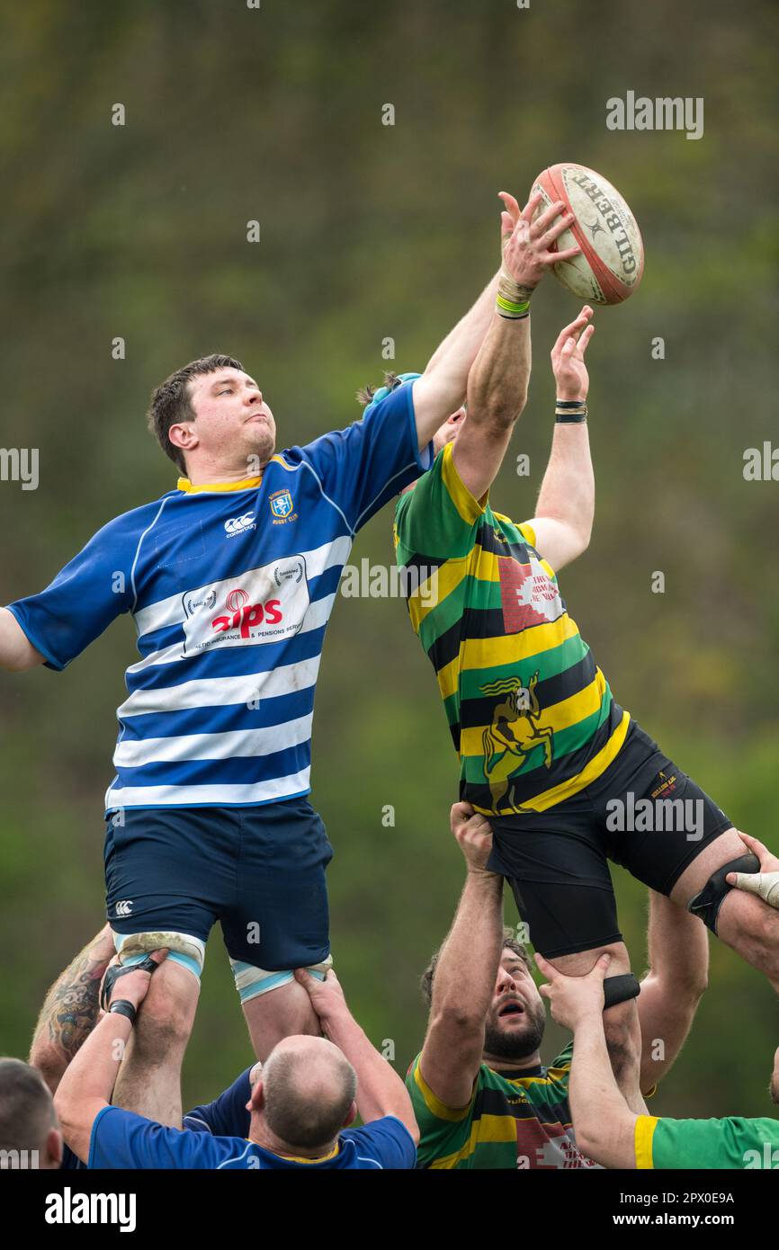 English mens amateur Rugby Union players playing in a league game Stock ...