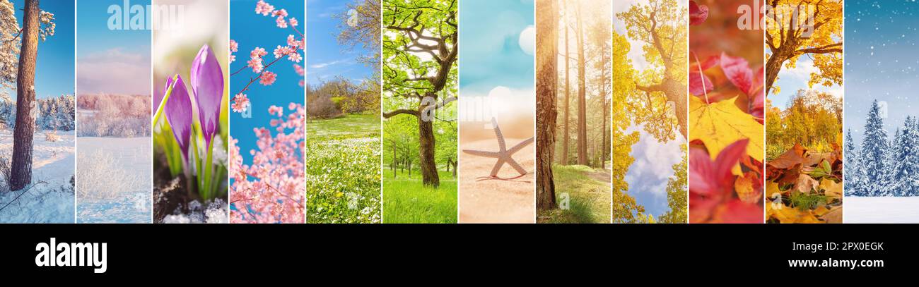 Collage of the photos of the twelve months of the year. Concept of the ...
