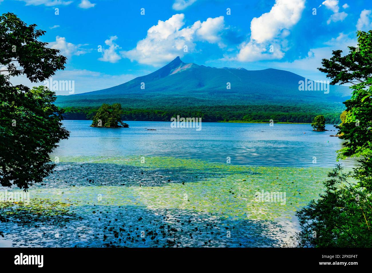 Onuma kuni park hi-res stock photography and images - Alamy